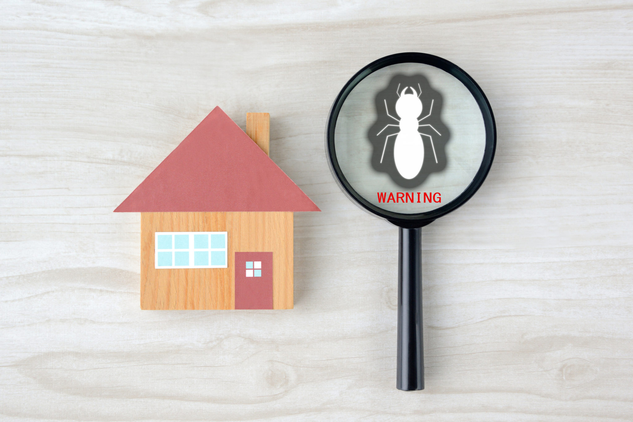 WDO Inspection Services - Home Inspections by Earley Construction